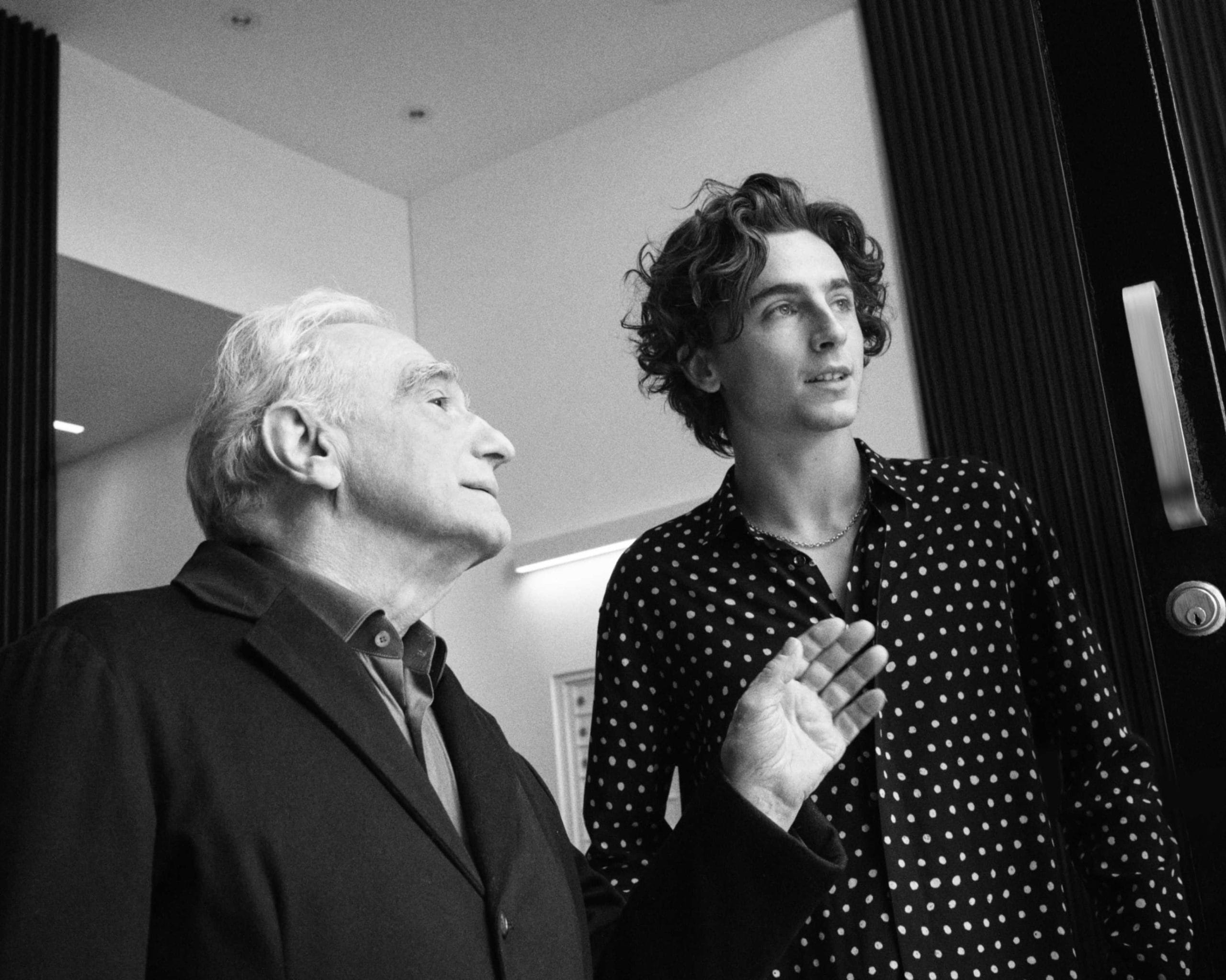 Into the Blue: Timothée Chalamet and Martin Scorsese Team up for Bleu ...